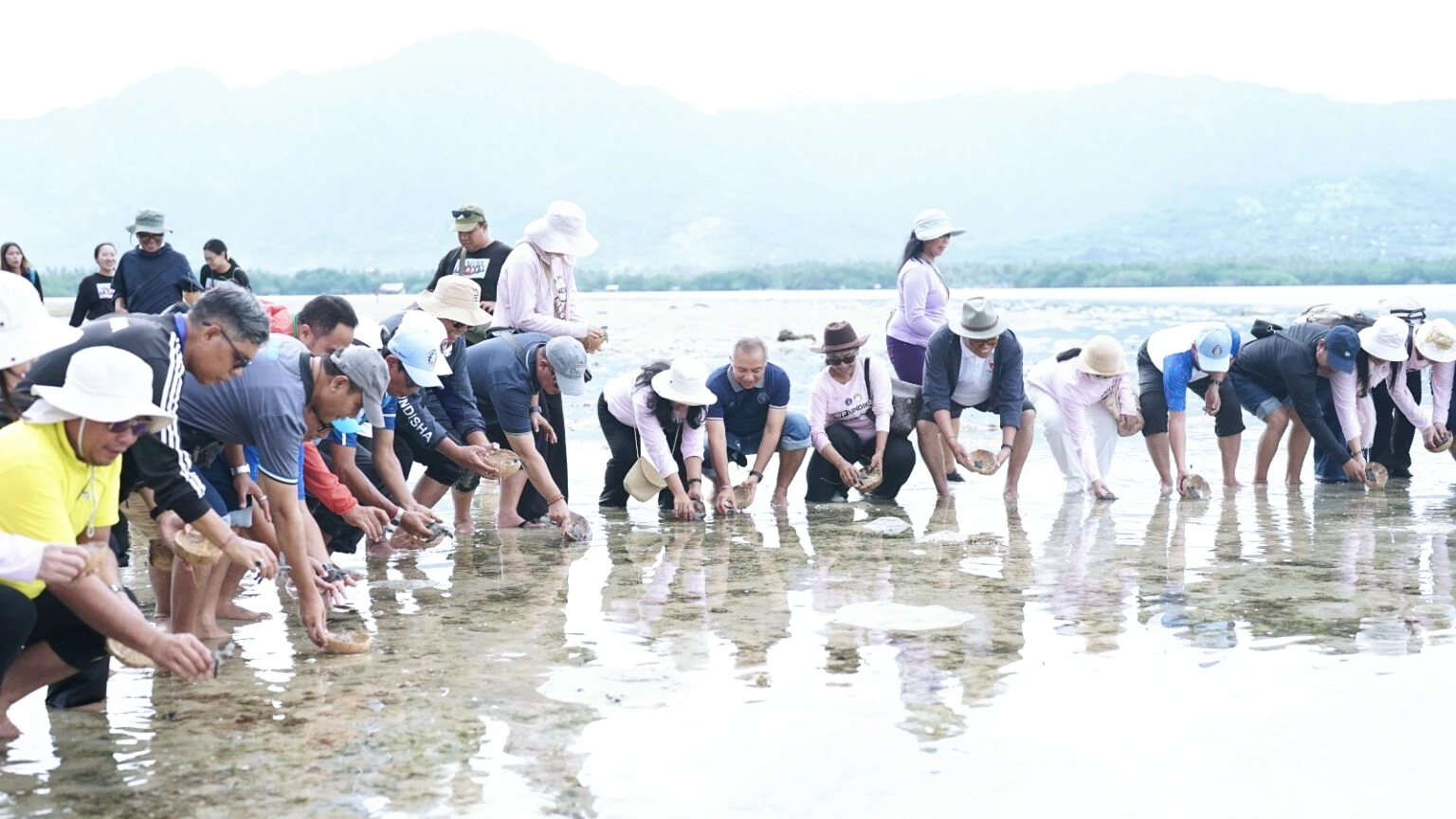 Undiksha Marks 33rd Anniversary with Mangrove Planting and Coastal ...